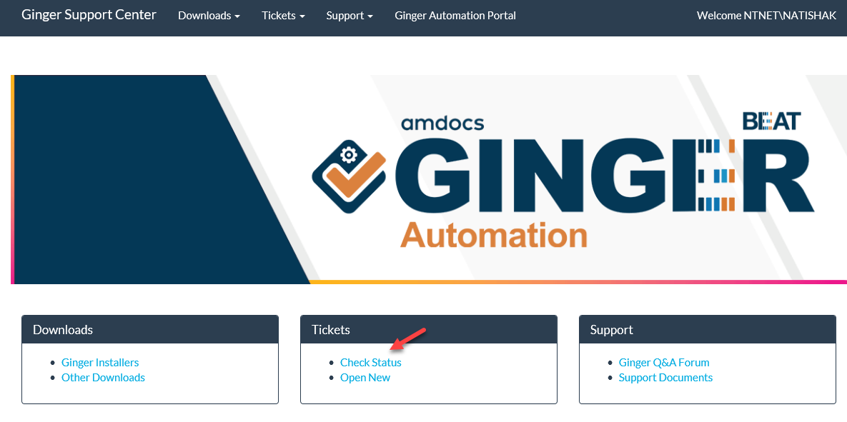 Ginger Support Overview